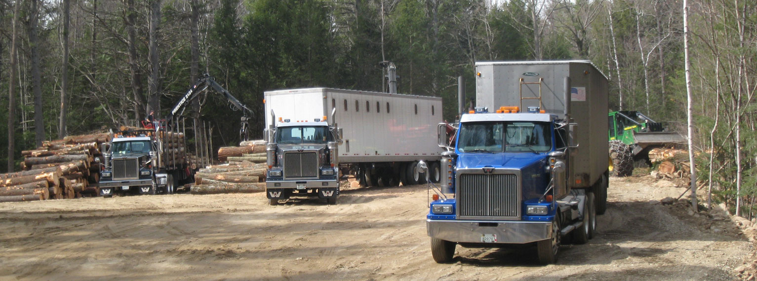 New Hampshire Logging Company Land Clearing Timber Harvest NH Logger