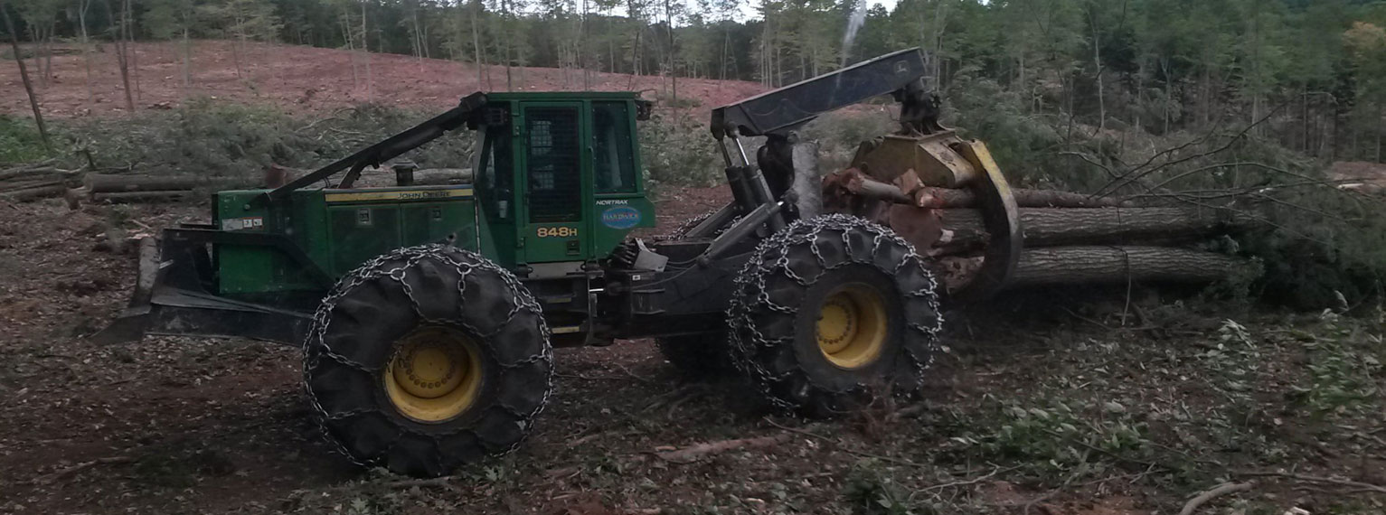 Links - D. H. Hardwick