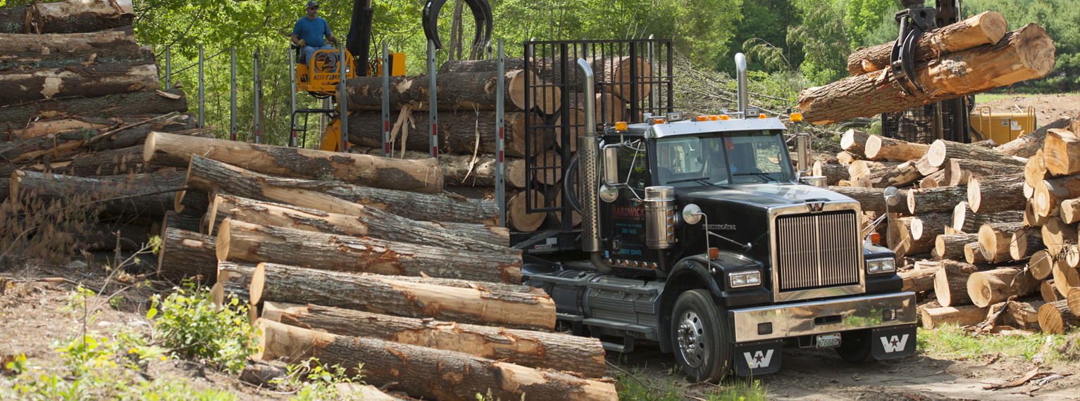 Links - D. H. Hardwick