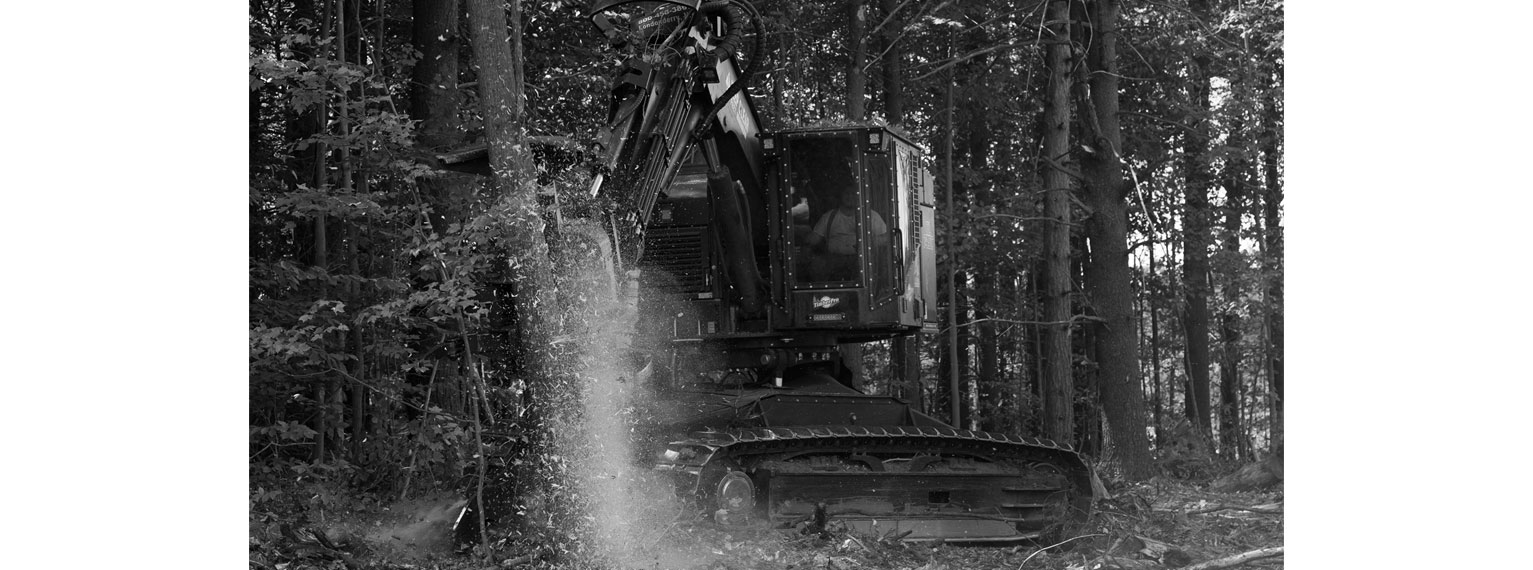 Links - D. H. Hardwick