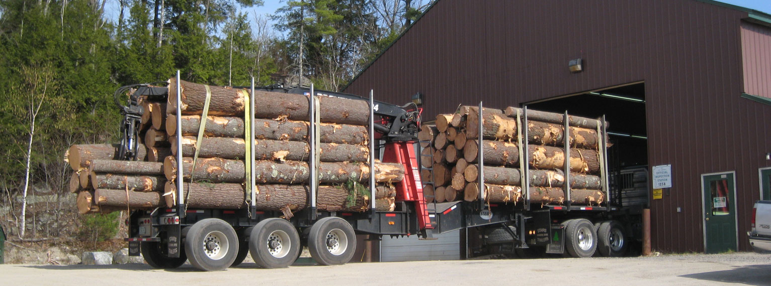 Links - D. H. Hardwick