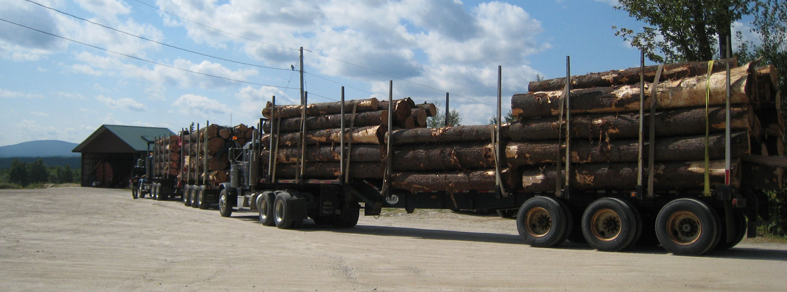 Links - D. H. Hardwick