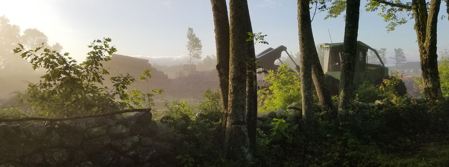 Links - D. H. Hardwick