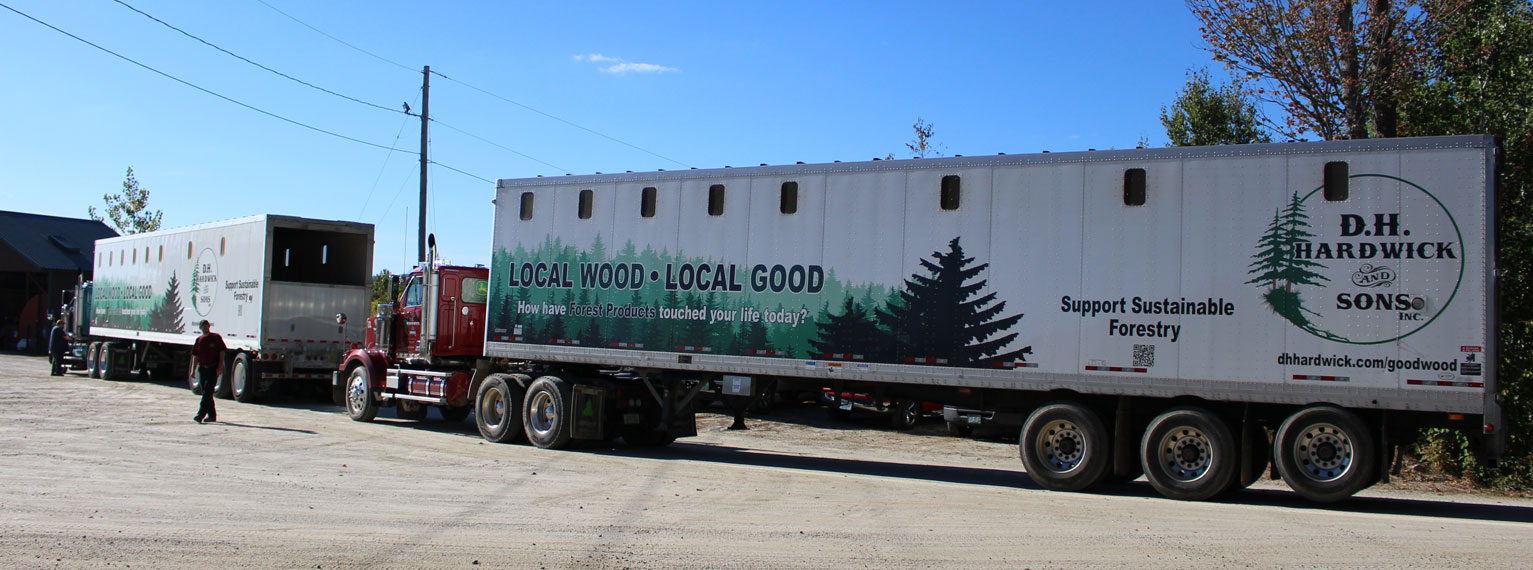 Links - D. H. Hardwick